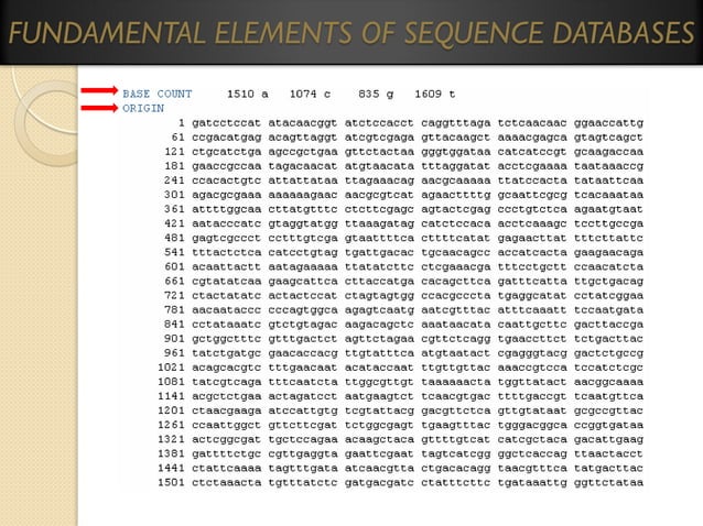 Bioinformatics principles and applications | PDF