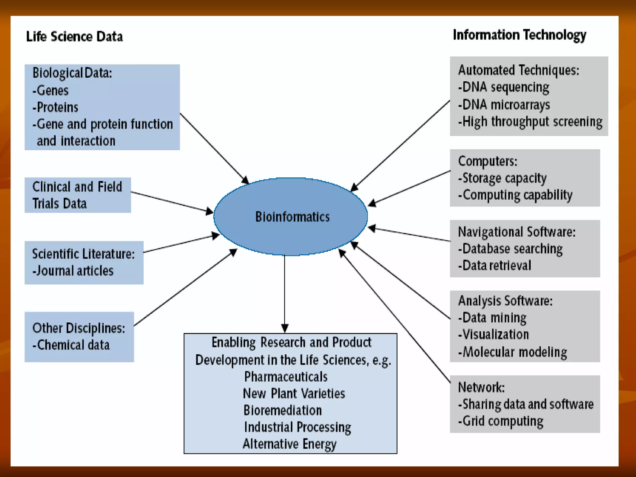 Bioinformatics relevance with biotechnology | PPT
