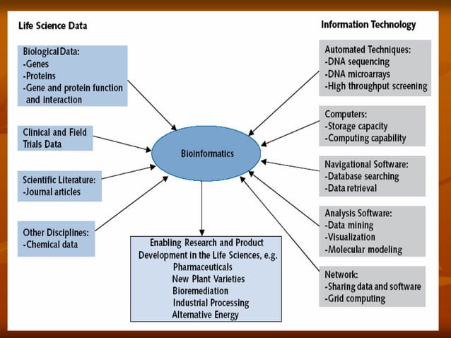 Bioinformatics relevance with biotechnology | PPT | Biotech and ...