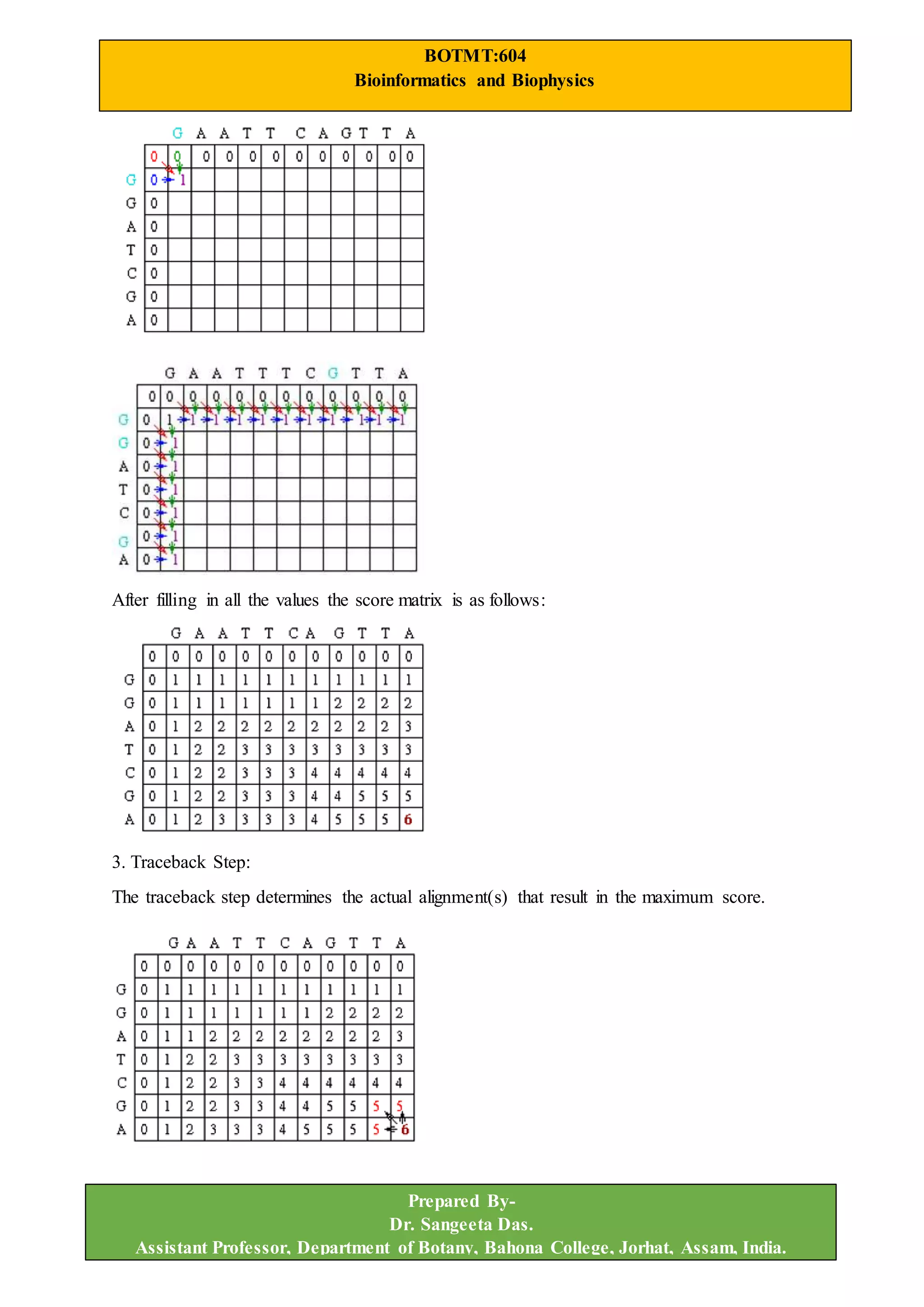 Bioinformatics_Sequence Analysis | DOCX