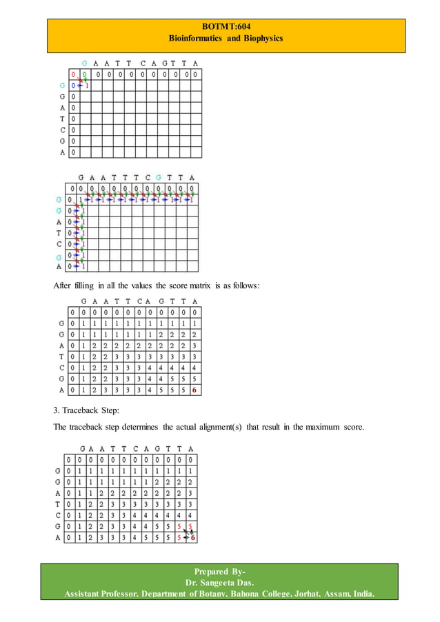 Bioinformatics_Sequence Analysis | DOCX | Programming Languages | Computing