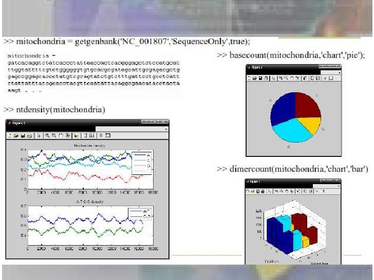 Matlab Bioinformatics Tool Box