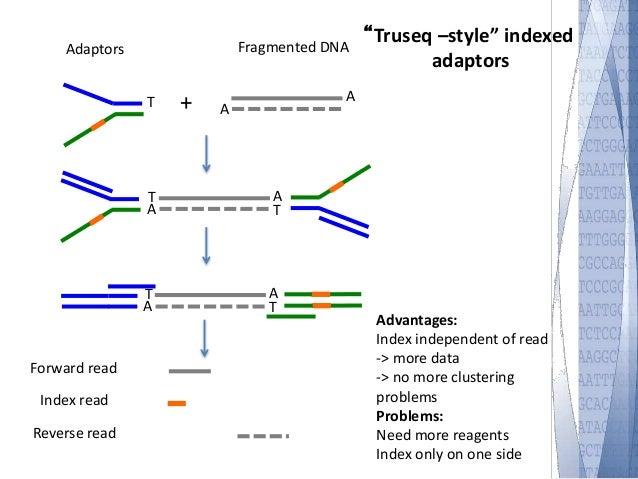 Bioinformatics workshop Sept 2014
