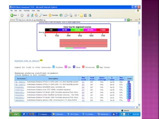 Bioinformatic, and tools by kk sahu | PPTX