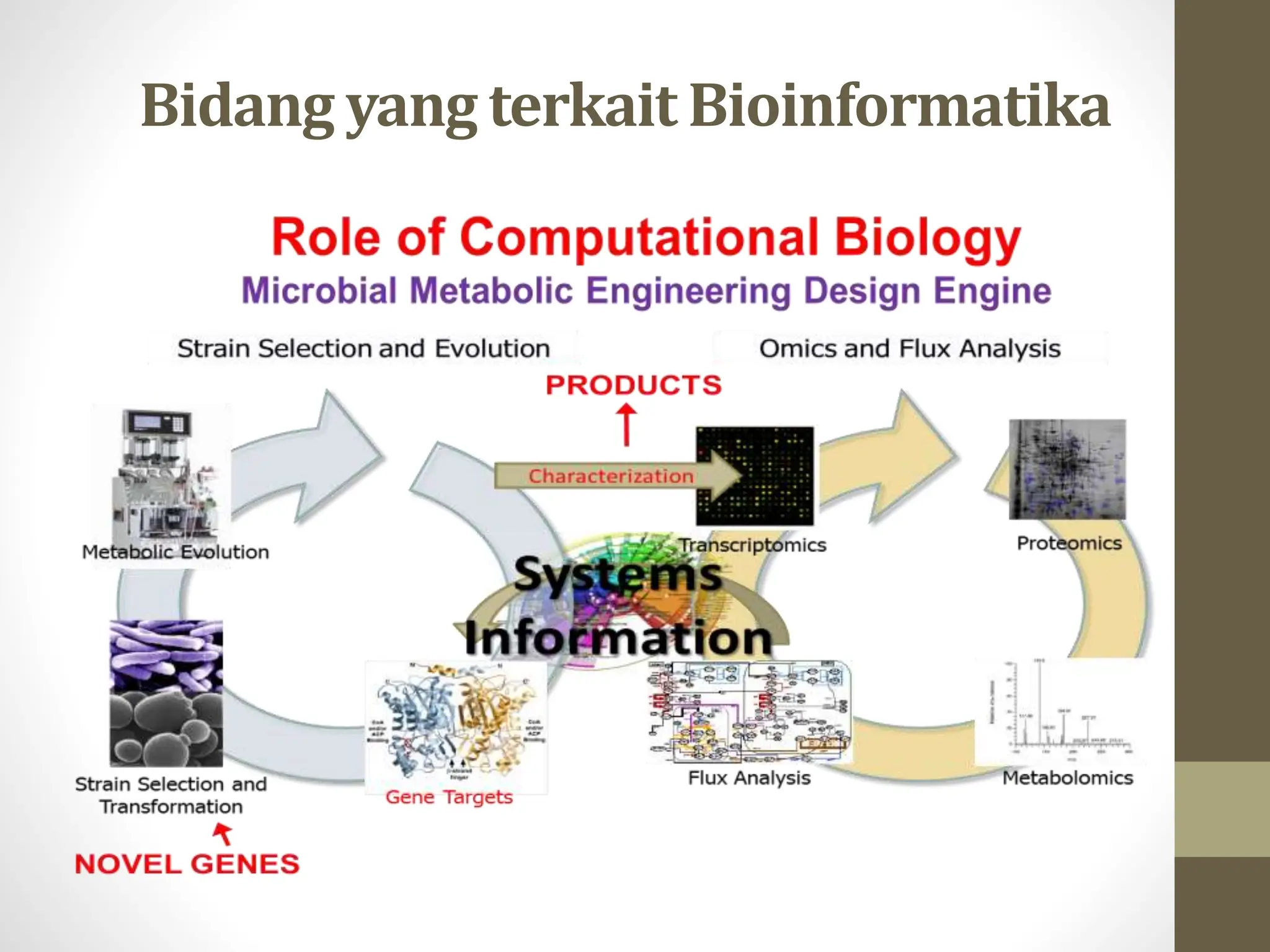 Pengantar BIOINFORMATIKA-pengantar1.pptx