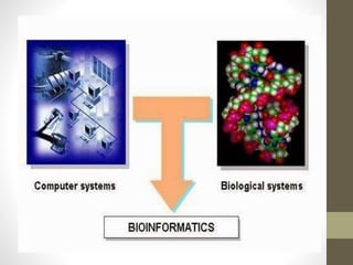 Pengantar BIOINFORMATIKA-pengantar1.pptx