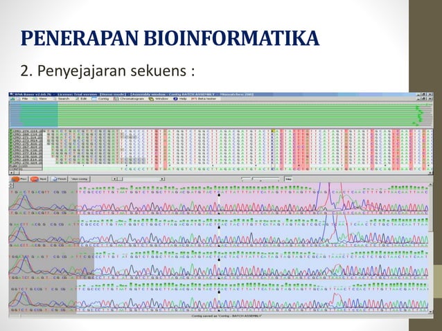 Pengantar BIOINFORMATIKA-pengantar1.pptx