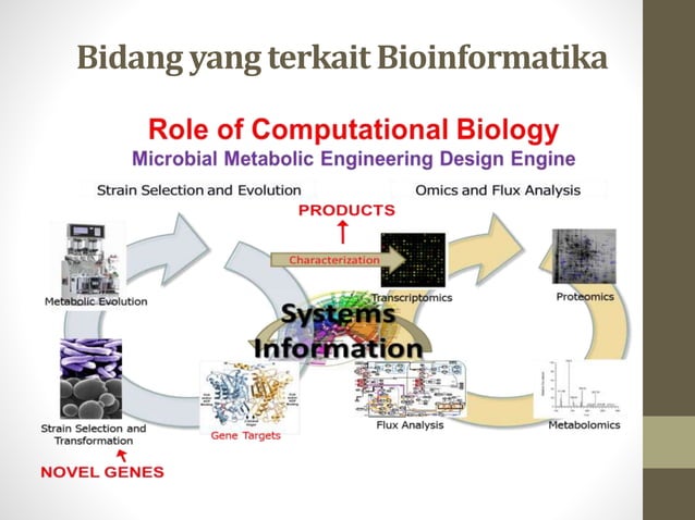 Pengantar BIOINFORMATIKA-pengantar1.pptx