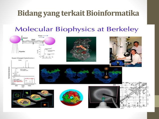 Pengantar BIOINFORMATIKA-pengantar1.pptx
