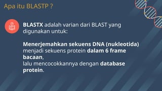 Pengantar Bioinformatika: Pengenalan metode BLAST DNA melalui website ...