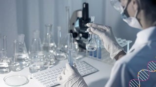 Pengantar Bioinformatika: Pengenalan metode BLAST DNA melalui website ...