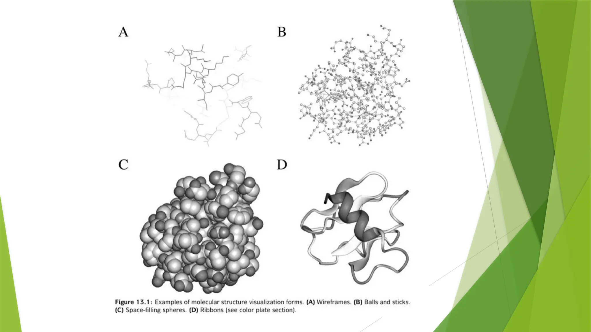 Bioinformatics Seminar Power Point .pptx