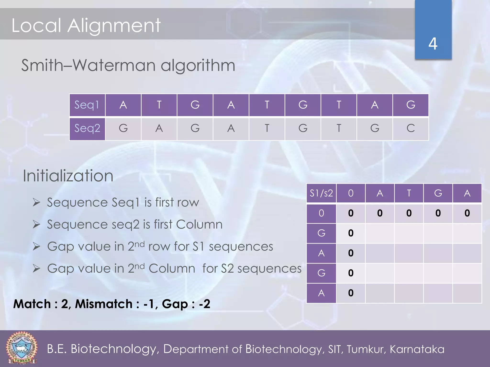 Bioinfromatics - local alignment | PPTX | Science