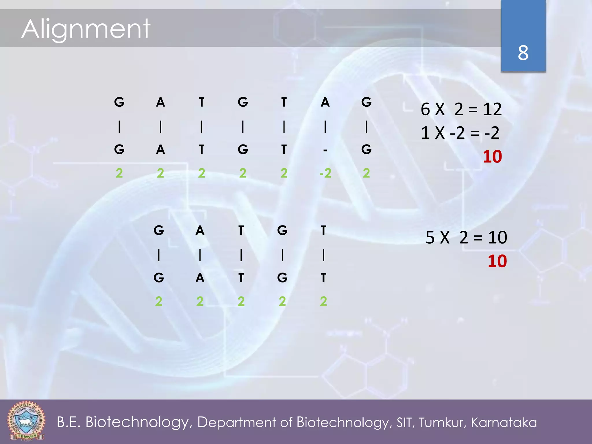 Bioinfromatics - local alignment | PPTX | Science