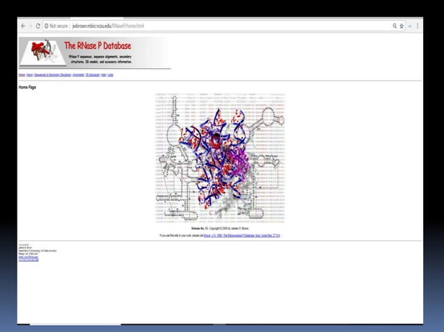 Sequence and Structural Databases of DNA and Protein, and its ...