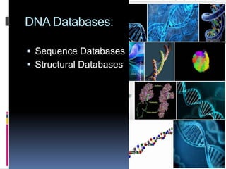 Sequence and Structural Databases of DNA and Protein, and its significance in Scientific ...