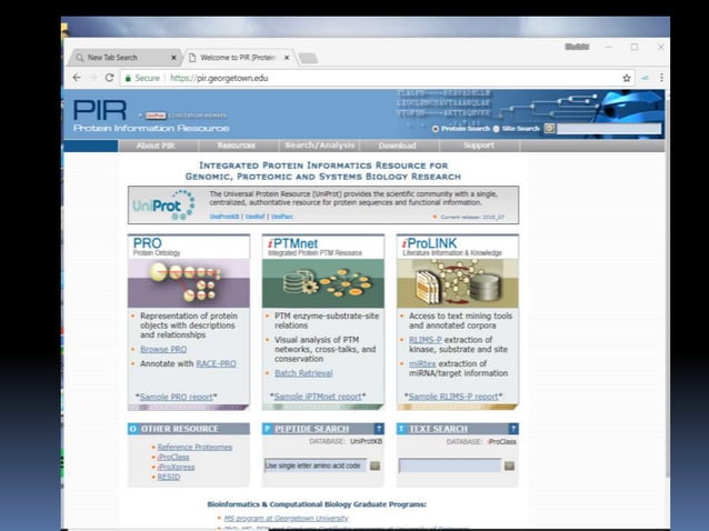 Sequence and Structural Databases of DNA and Protein, and its ...