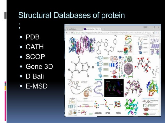 Sequence and Structural Databases of DNA and Protein, and its ...