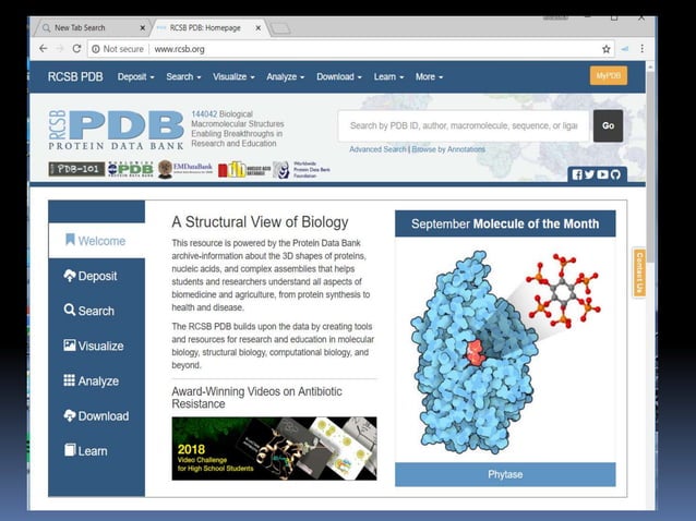 Sequence and Structural Databases of DNA and Protein, and its ...