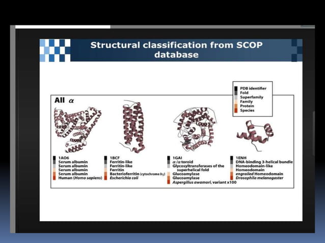 Sequence and Structural Databases of DNA and Protein, and its ...