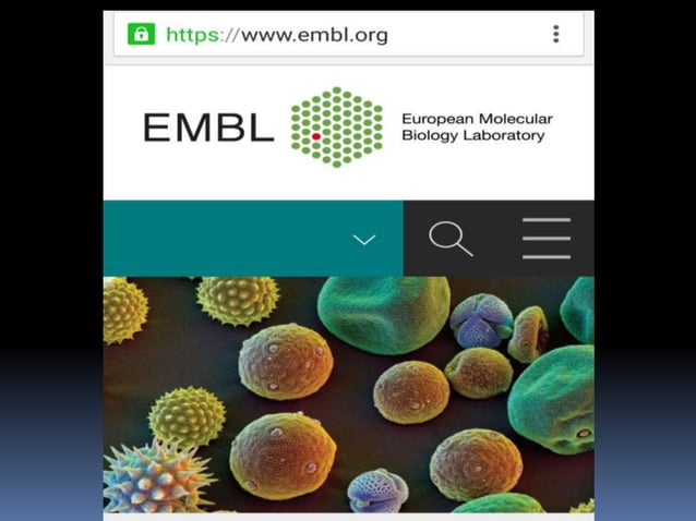 Sequence and Structural Databases of DNA and Protein, and its ...