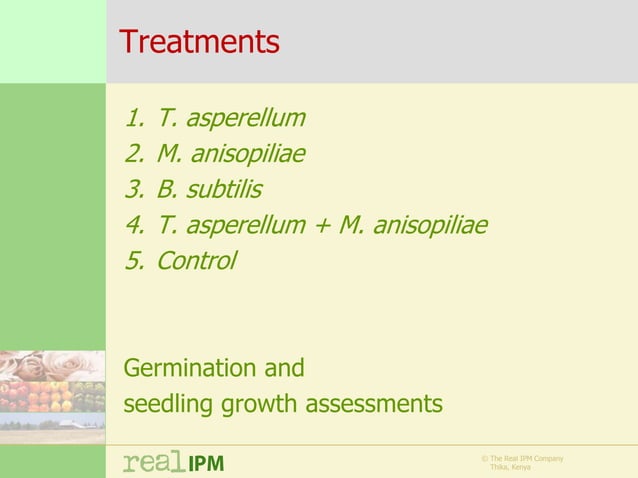 Biopesticide seed treatments for improved growth of maize seedlings | PPT
