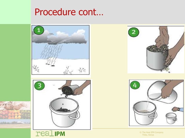 Biopesticide seed treatments for improved growth of maize seedlings | PPT
