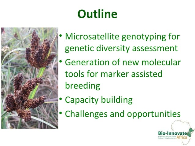 Genetic diversity assessment of east African finger millet and cost ...