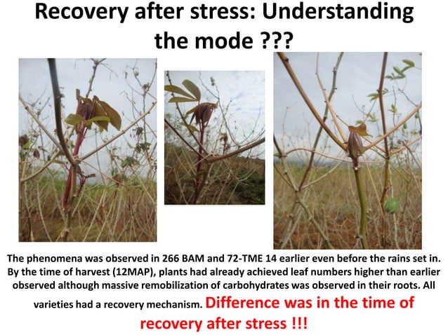 Enhancing food security through improved seed systems of appropriate ...