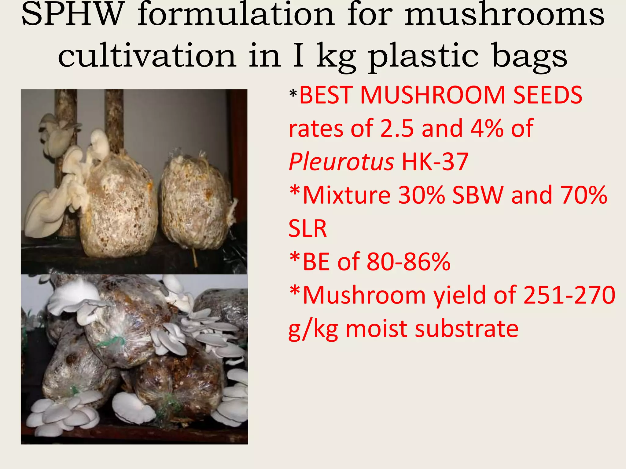 Evaluation of sisal post-harvest waste as a potential bioresource for ...