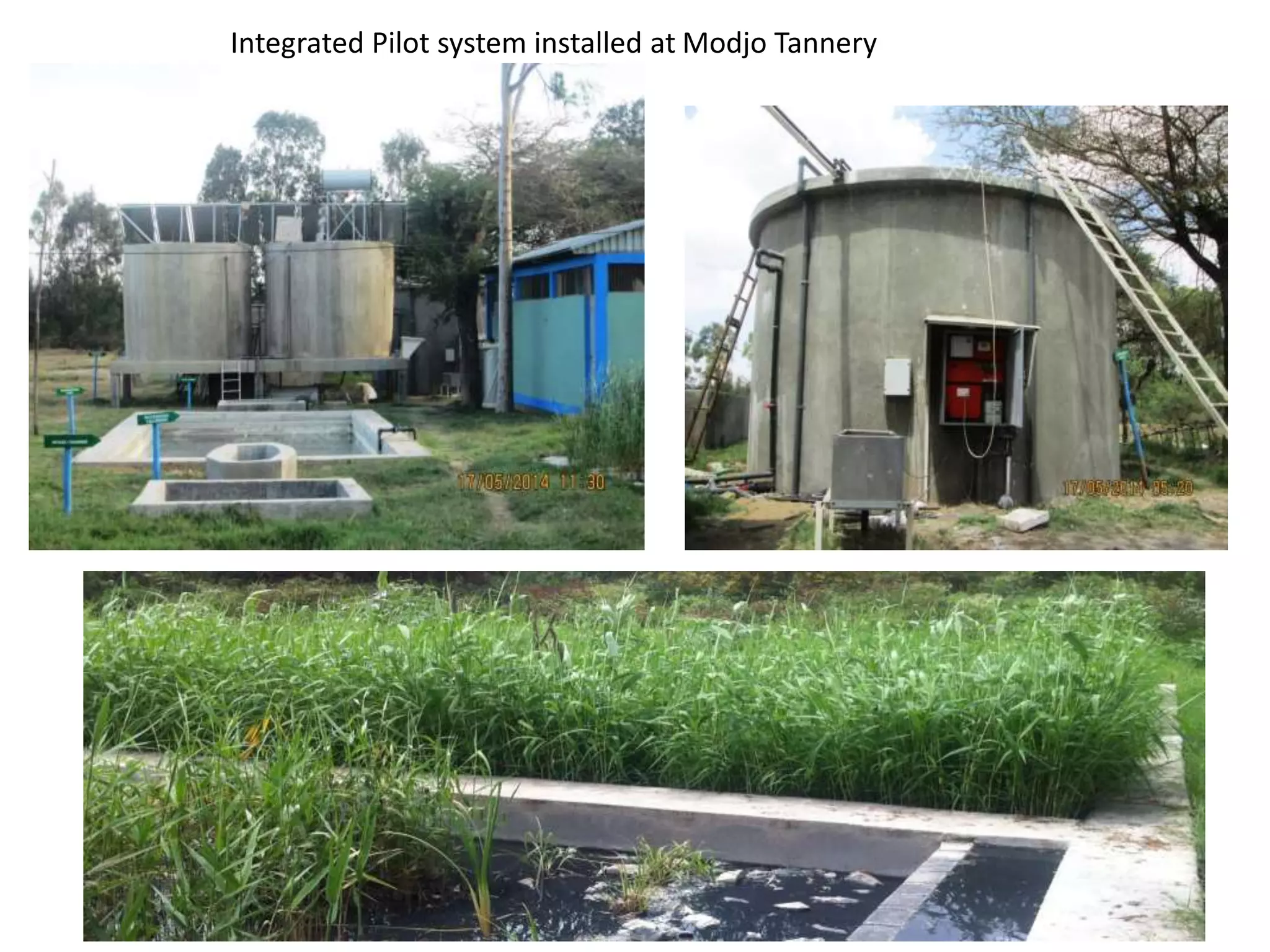 Regional initiatives to promote biosciences innovation: The BioInnovate ...