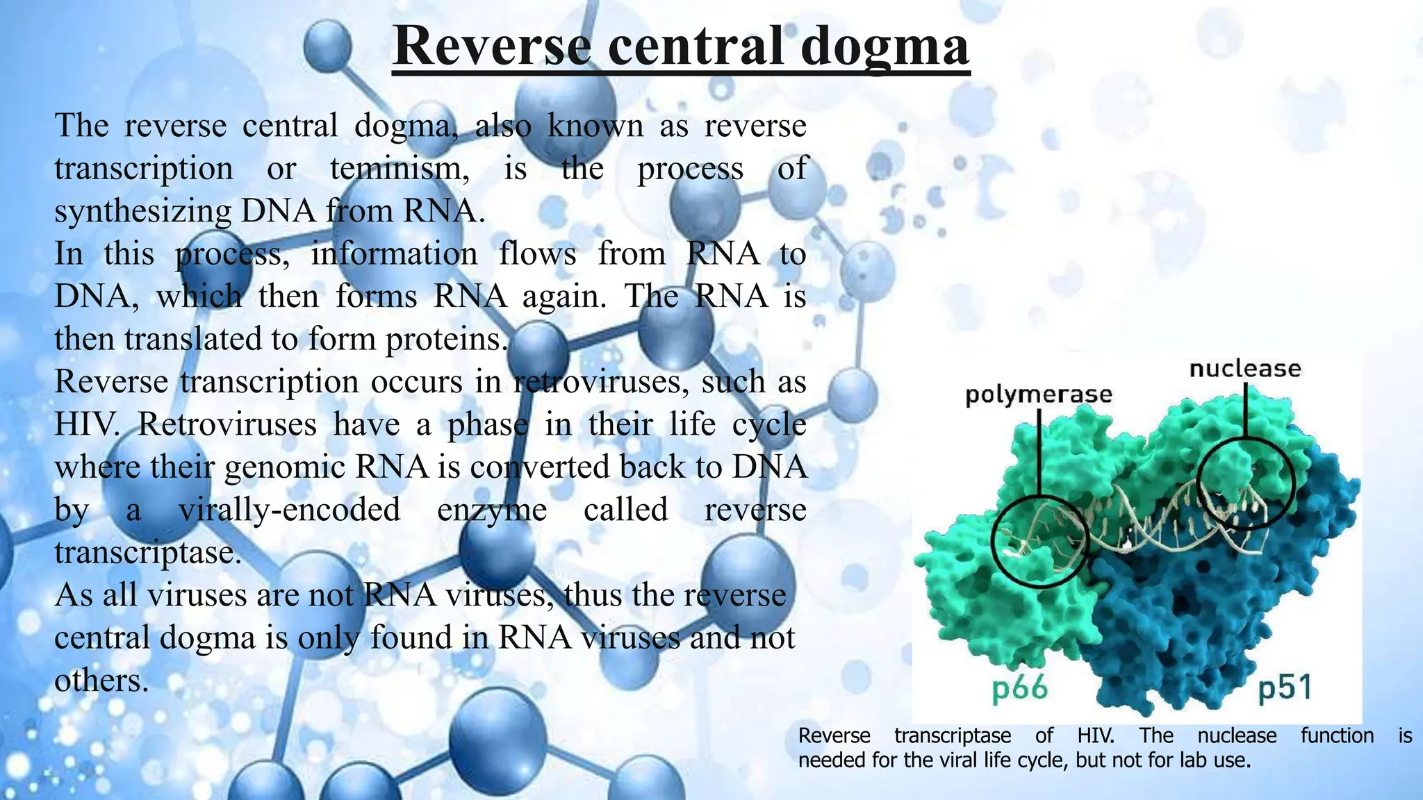 Central dogma of molecular biology .pptx