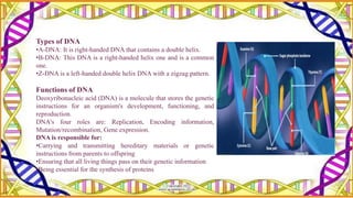 Central dogma of molecular biology .pptx