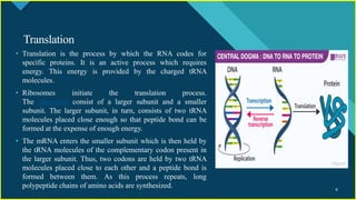 Central dogma of molecular biology .pptx