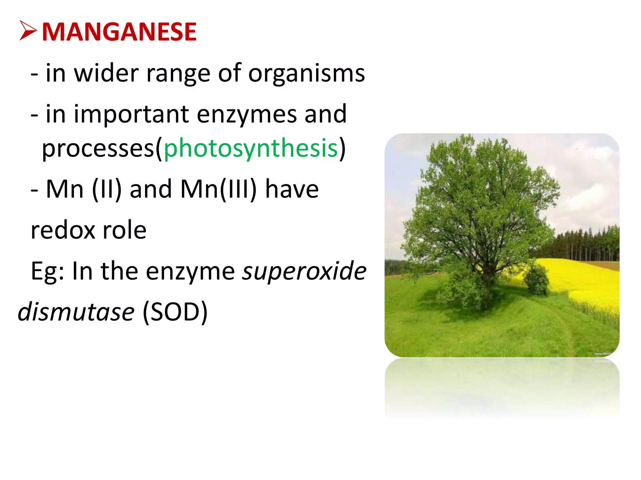 METAL IONS IN BIOLOGY | PPTX