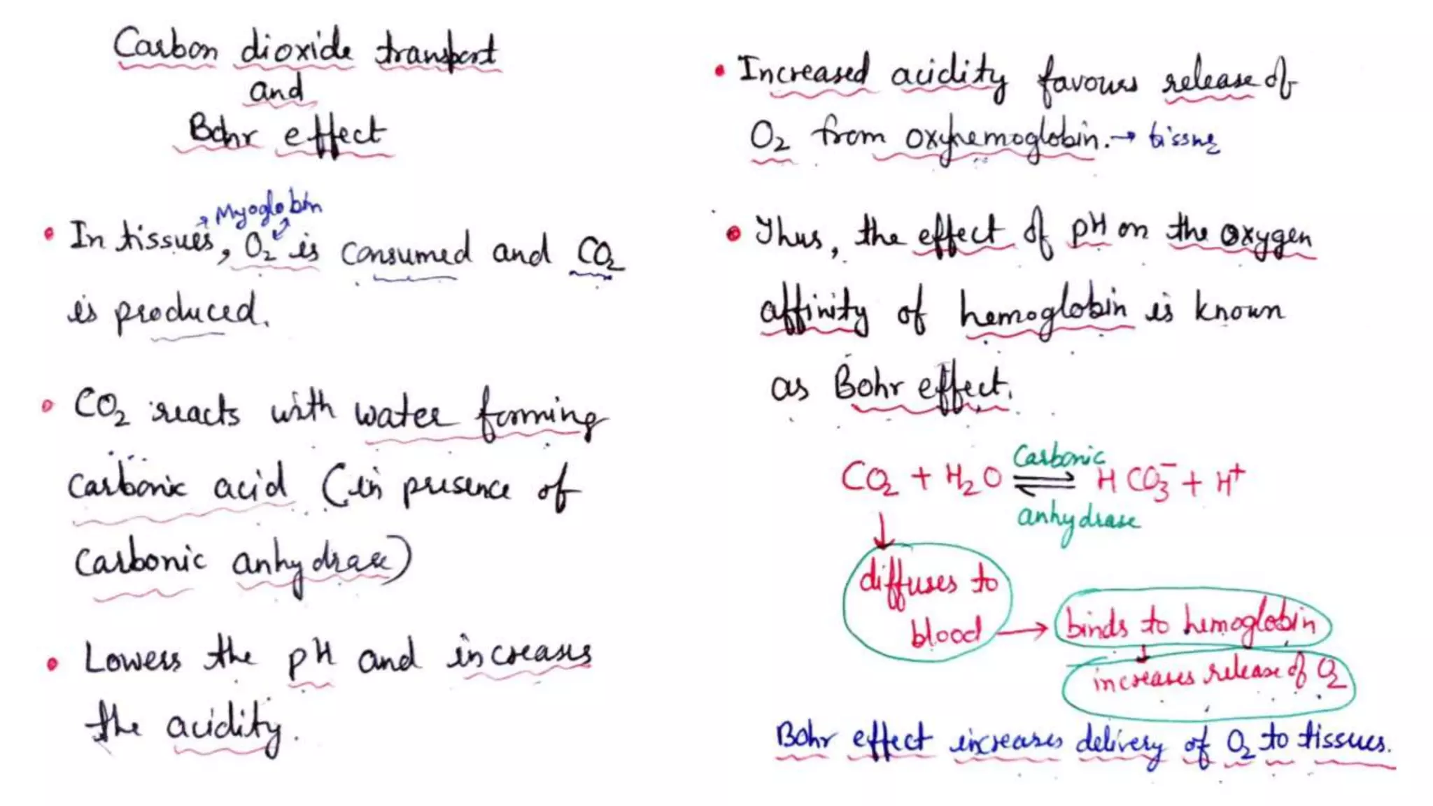 Bioinorganic chemistry by Dr Geeta Tewari | PPTX