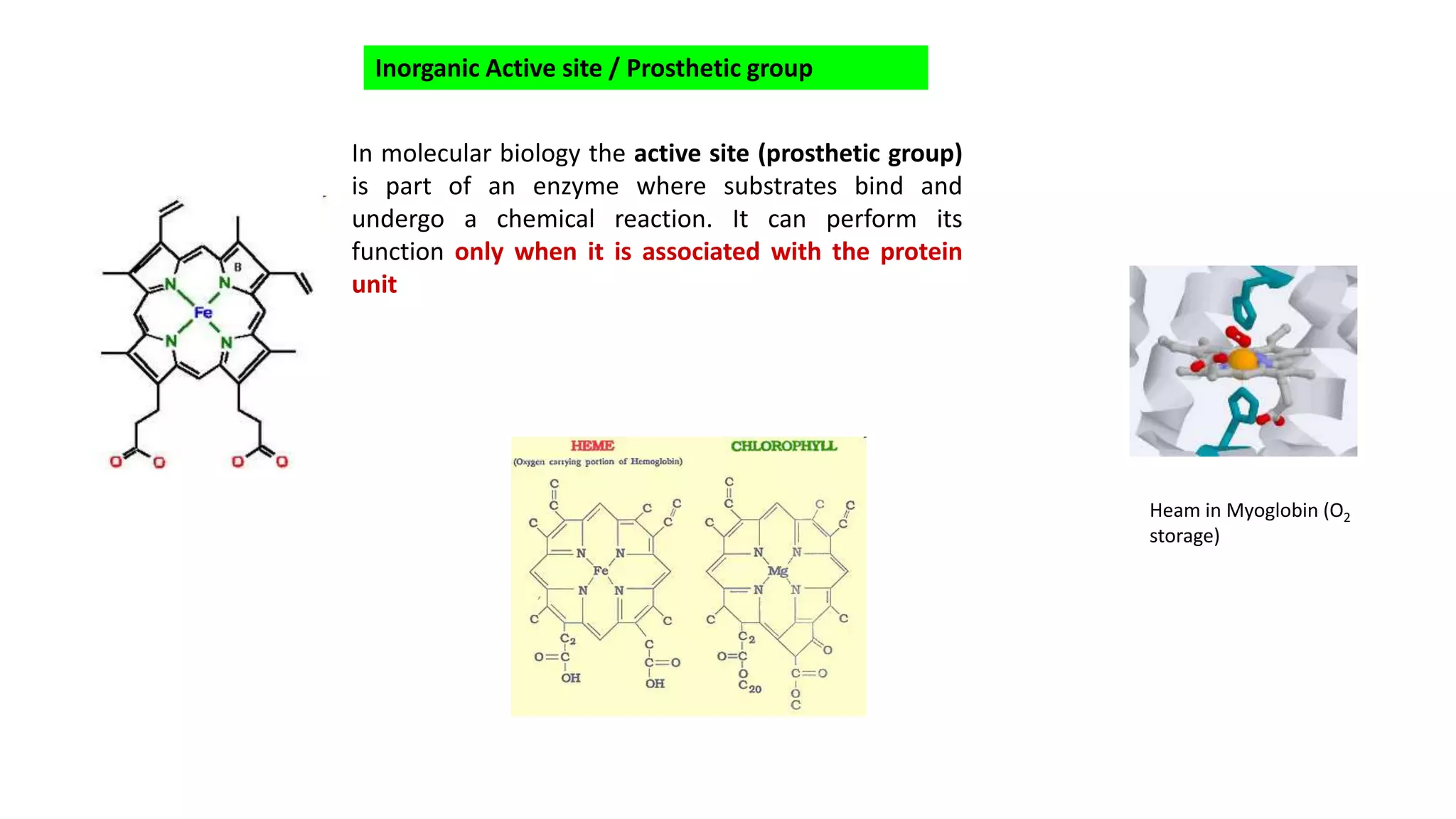 Bioinorganic chemistry | PPTX