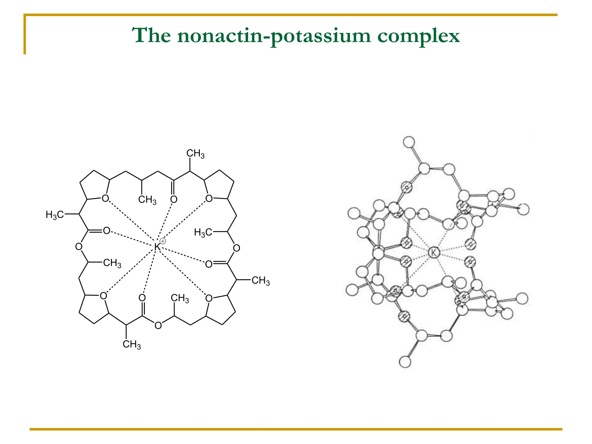 Bioinorganic chemistry1.ppt