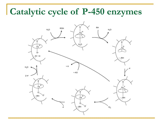 Bioinorganic chemistry1.ppt
