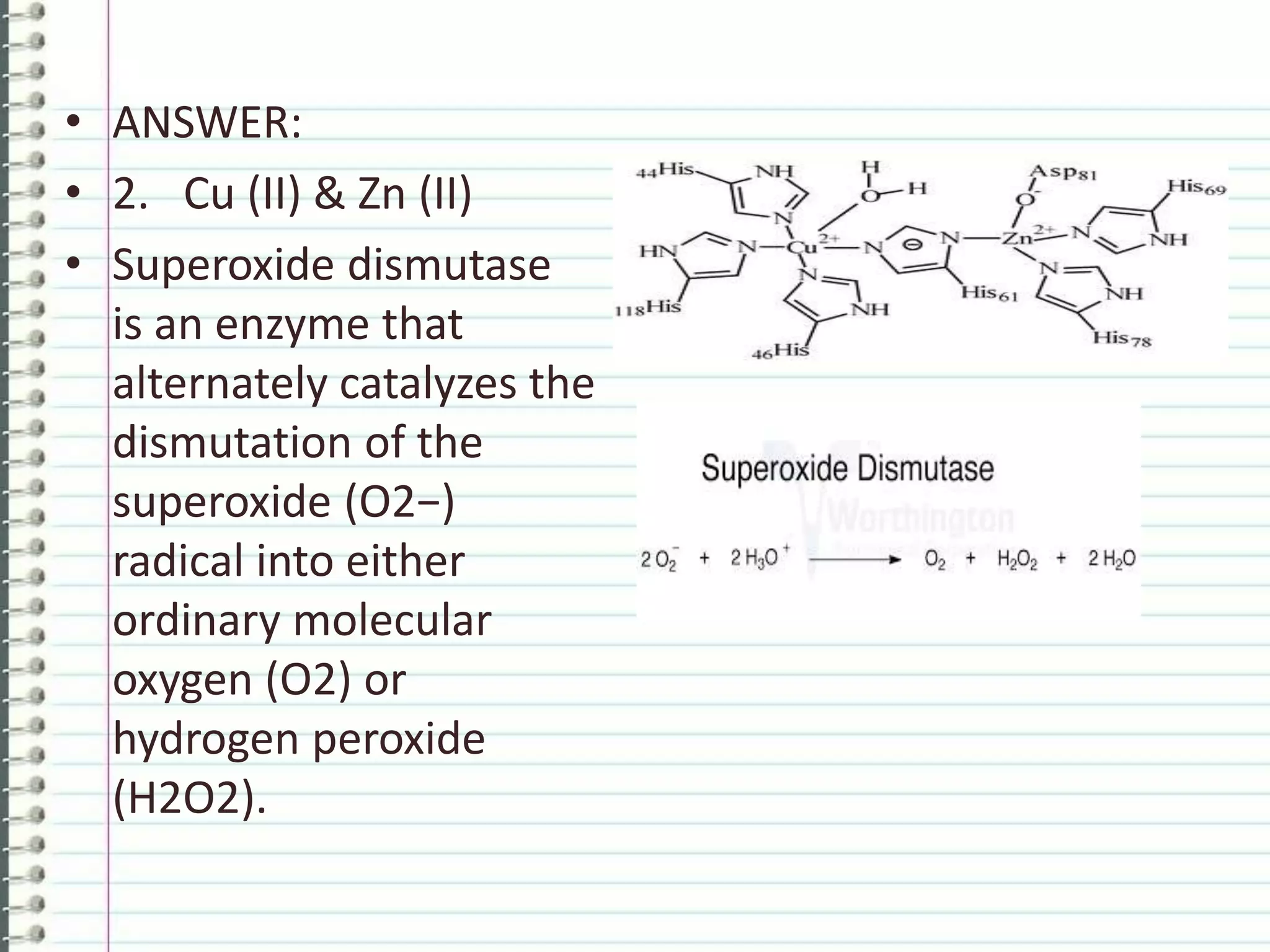 Bioinorganic chemistry f | PPTX