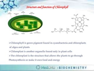 Bio Inorganic Chemistry ppt.pptx