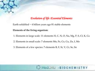 Bio Inorganic Chemistry ppt.pptx