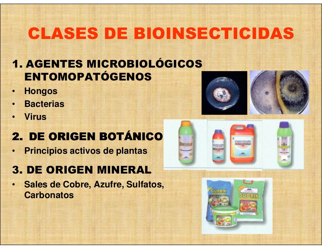 Bioinsecticidas