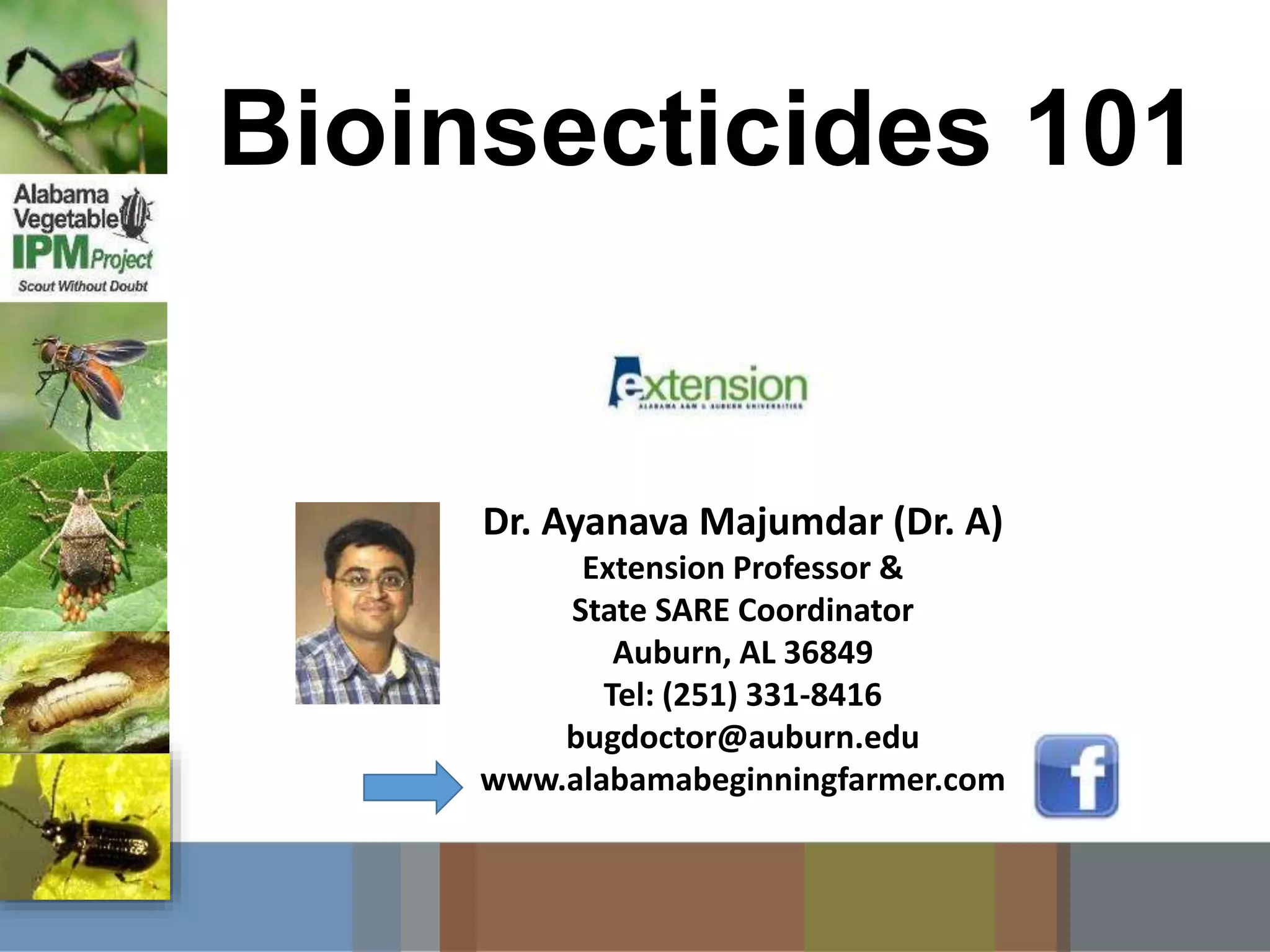 Bioinsecticide basics | PPTX