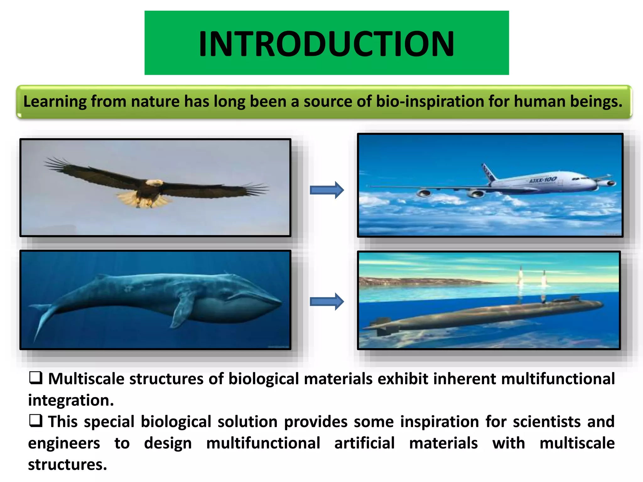 Bio inspired materials ppt | PPTX