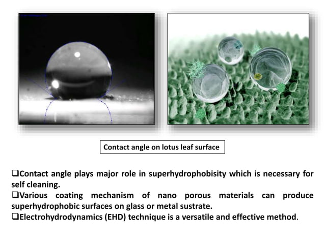 Bio inspired materials ppt | PPTX