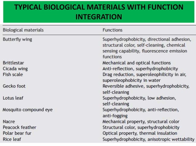 Bio inspired materials ppt | PPTX