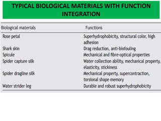 Bio inspired materials ppt | PPTX