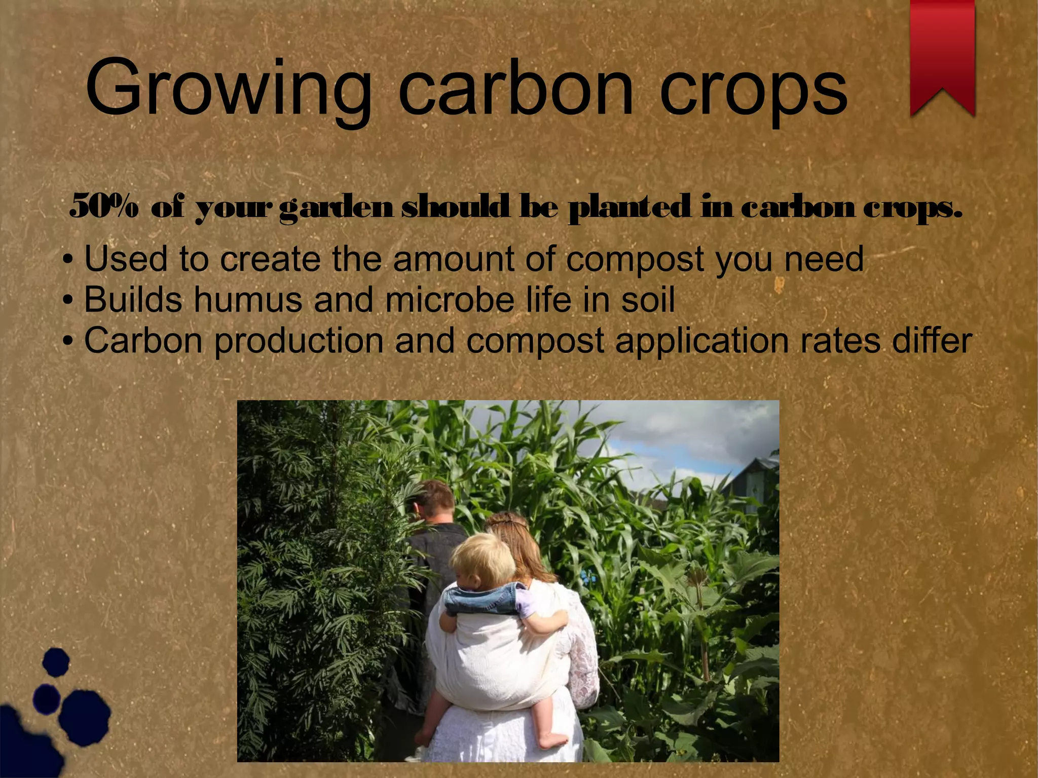 Biointensive Gardening ppt | ODP