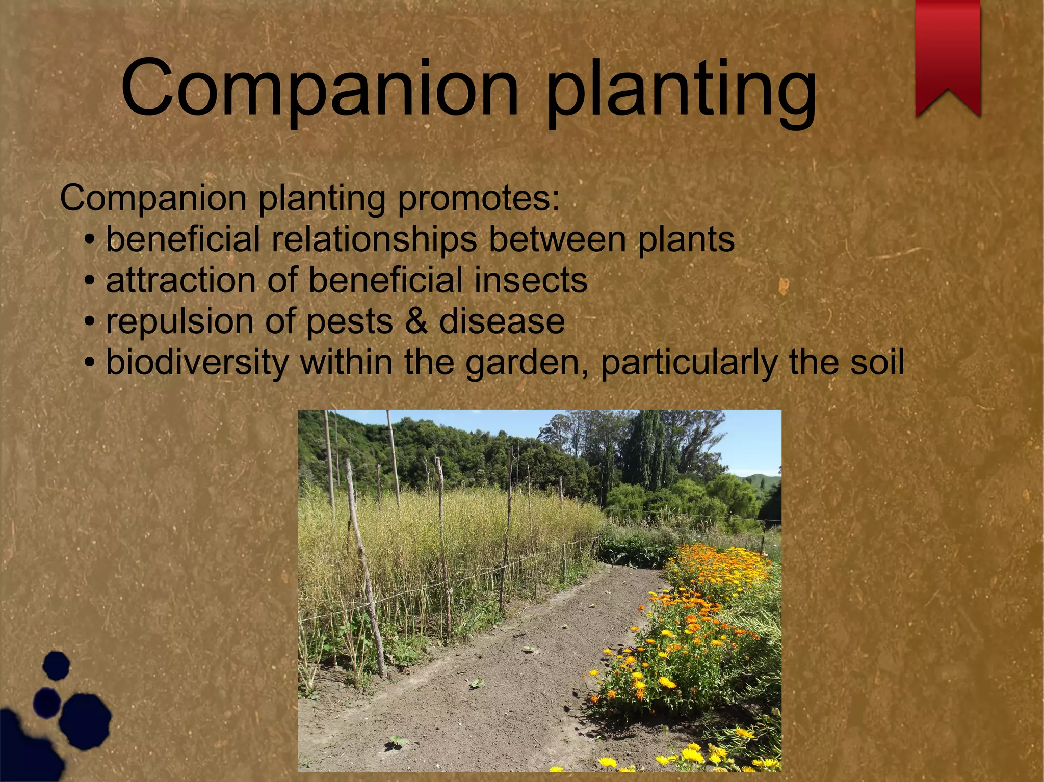 Biointensive Gardening ppt | ODP